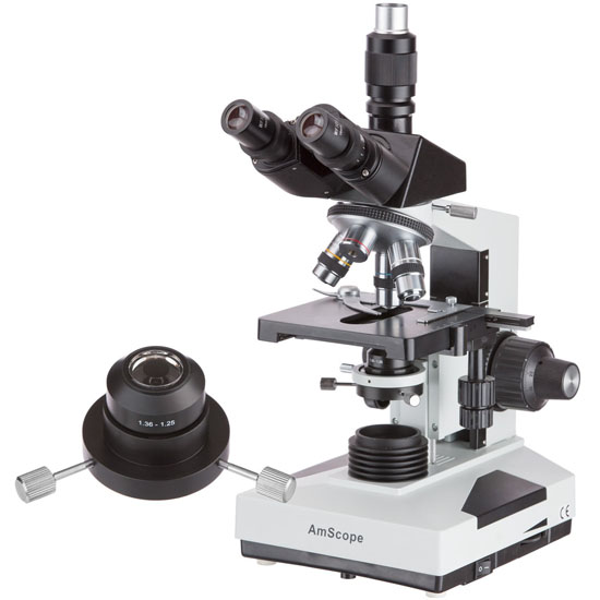 Best Optical Microscopes for Young Biologists to Professionals - Colour ...