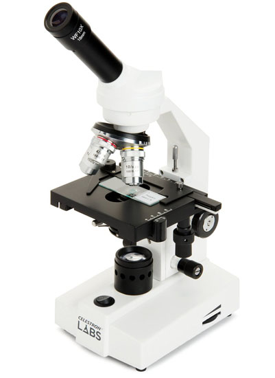 Best Optical Microscopes for Young Biologists to Professionals - Colour ...
