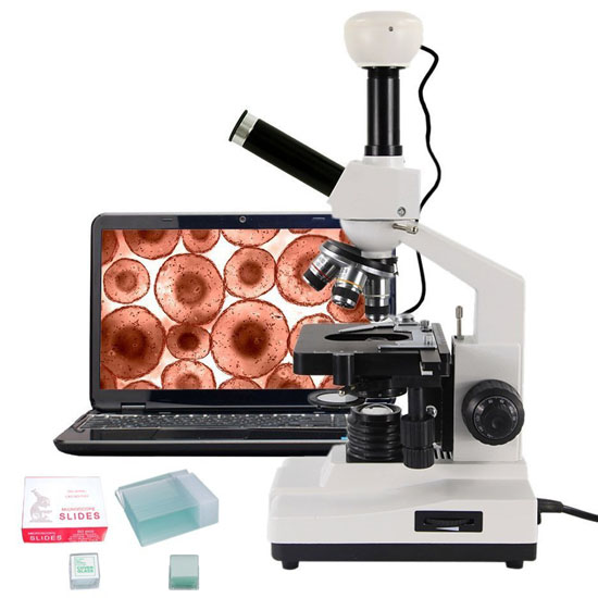 Best Optical Microscopes for Young Biologists to Professionals - Colour ...