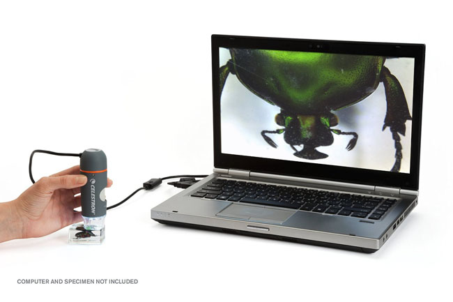 Best Digital USB Microscopes for Education at Home or the Classroom ...