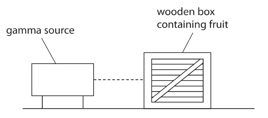 IGCSE Physics Radioactivity & Particles Past Papers Exam Questions ...
