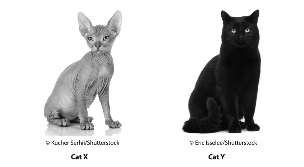 IGCSE Physics Energy Resources and Energy Transfers Past Papers Exam ...
