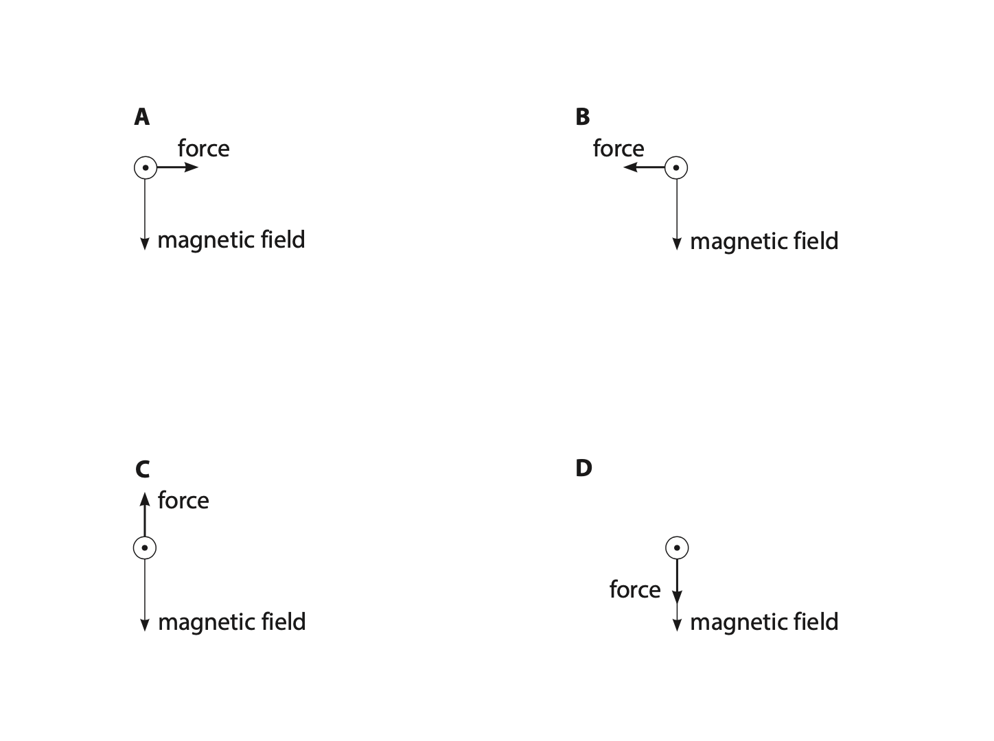 IGCSE Physics Past Years Exam Questions: Magnetism and electromagnetism ...
